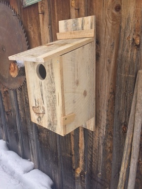 Kestrel Boxes