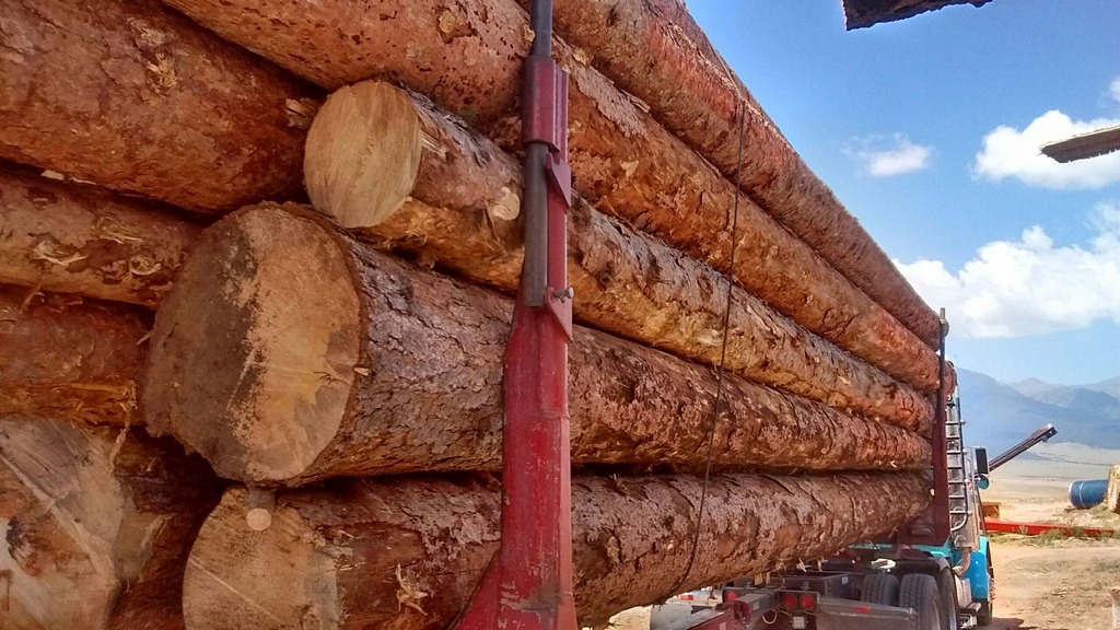 Poles & Logs