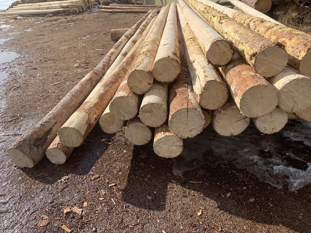 Poles & Logs
